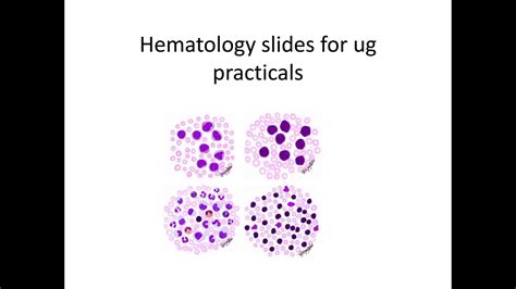 1a Hematology Slides