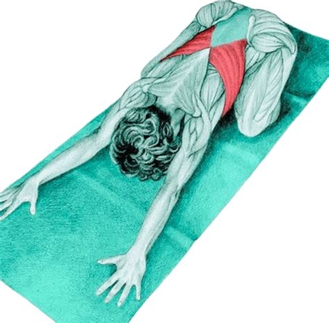 34 Stretches To Stay Young And Healthy With Pictures
