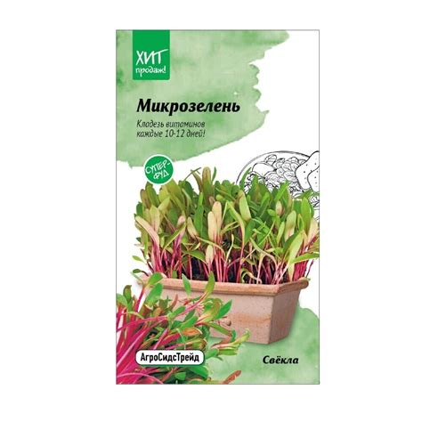 Семена микрозелень Свекла Агросидстрейд 5 г — купить в Петровиче в Москве цена за штуку