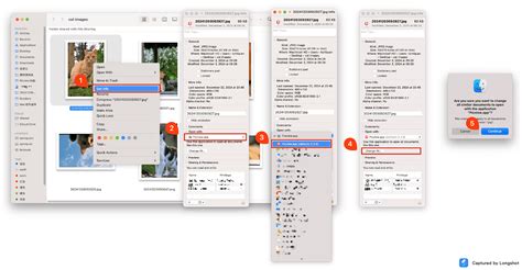 Set Picview As The Default Image Viewer — How To Set Default File Open