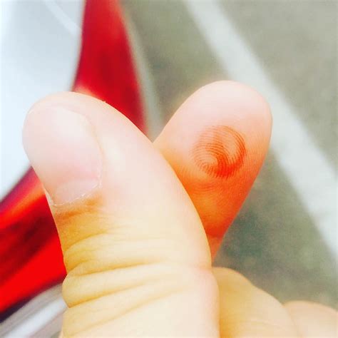 Elixir Coffee Roasters 황금연휴를 알차게 보낼 계획은 다들 하셨나요 연휴를 보낼때 보내다라도 국민으로써 꼭 행사하여야 하는 투표권을 꼭 행사하시기