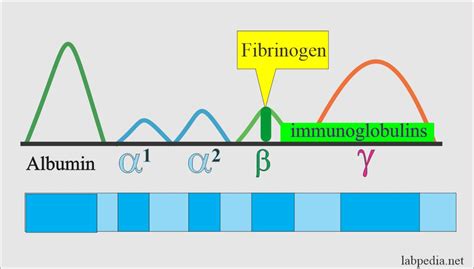 Fibrinogen Test