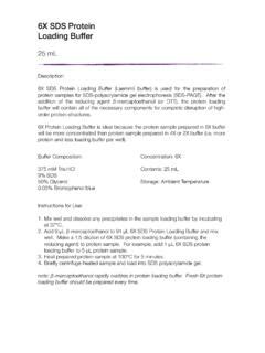 6X SDS Protein Loading Buffer Morganville Scientific Sample Loading Buffer PDF4PRO