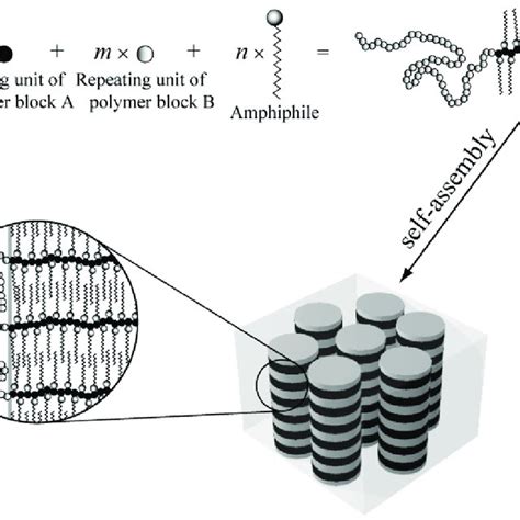 Experimentally Determined Phase Diagram For PS B PI Diblock Copolymer Download Scientific