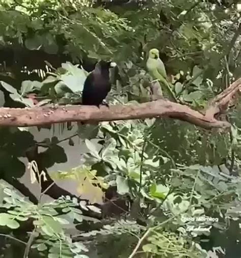 Sanjay K Posted On Linkedin