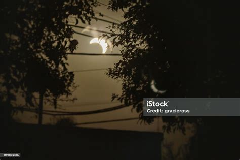 태양 일식 달이 행성 지구와 태양 사이를 지나갈 때 신비한 자연 현상 시들어 나무의 실루엣 0명에 대한 스톡 사진 및 기타 이미지 Istock