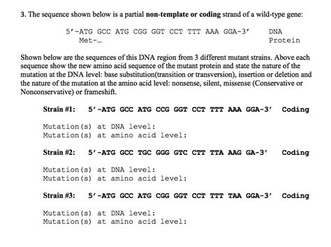 Solved The Sequence Shown Below Is A Partial Gene Chegg Com