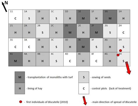 The Experimental Layout Of The Plot Experiment Research The Research