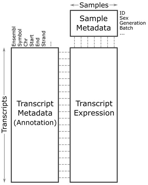 Expression Quantitative Trait Locus Eqtl Mapping Load And Explore Data