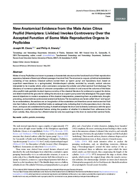 Pdf New Anatomical Evidence From The Male Asian Citrus Psyllid