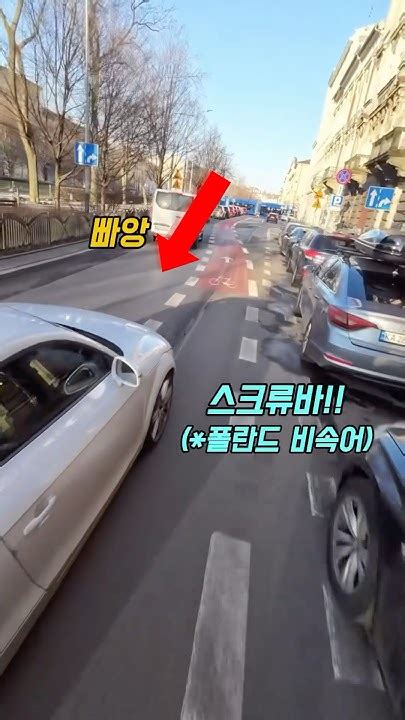 차도 사이에 있는 자전거도로 Youtube