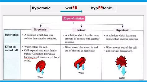Osmotic Fragility Test Pptx