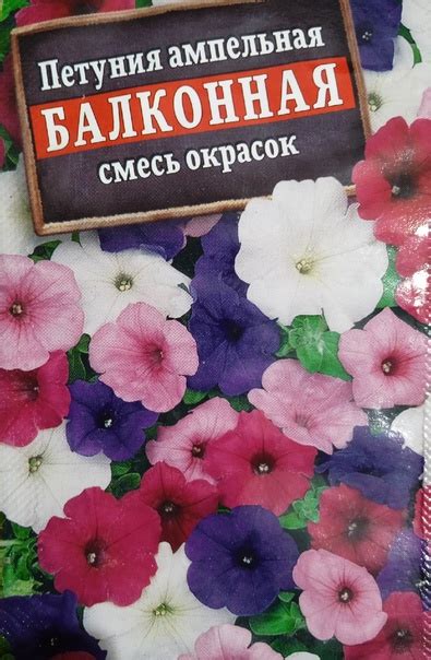 Петуния 25 руб Цветы в горшке Глазов ВКонтакте