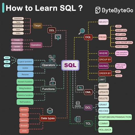 Sina Riyahi On Linkedin What Is The Best Way To Learn Sql In 1986