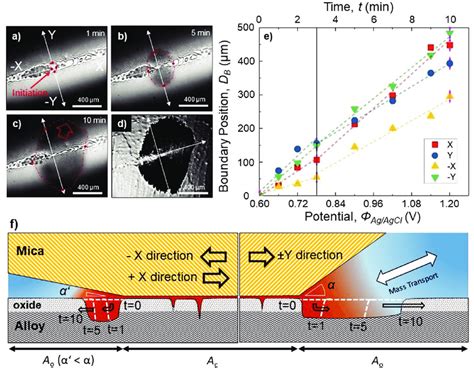 Real Time Corrosion Analysis A D Screen Shots Of The Video Of The Download Scientific Diagram