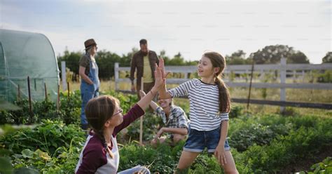 공동체 농장에서 야외에서 일하는 행복한 젊은이와 노인 농부 또는 정원사 사진 Unsplash의 사람 이미지