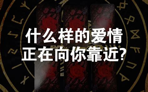 塔罗占卜：什么样的爱情正在向你靠近3哔哩哔哩bilibili