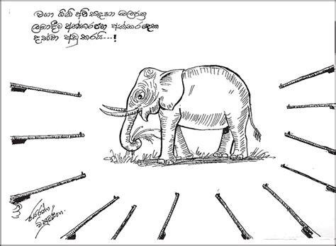 දිවයින කාටූන් Divaina Breaking Sri Lanka News And Top Stories In Sinhala