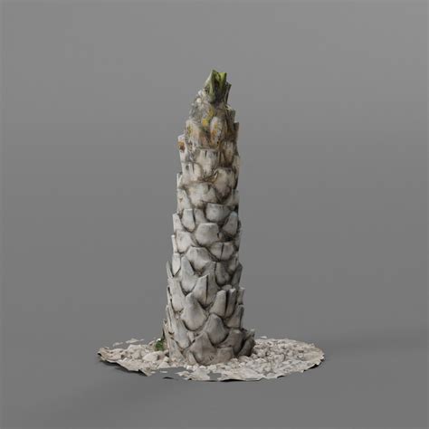 Blenderkit Download The Palm Tree Model