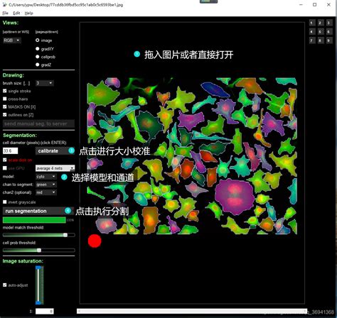 cellpose的安装与使用 csdn博客