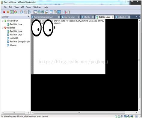 深入理解x窗口系统（xwindows）原理与启动流程 Csdn博客