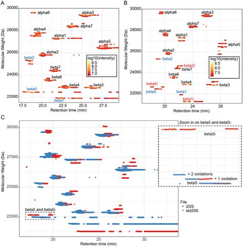 Top Down And Intact Protein Mass Spectrometry Data Visualization For Proteoform Analysis Using