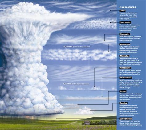 Types Of Clouds Cloud Formation In The Sky