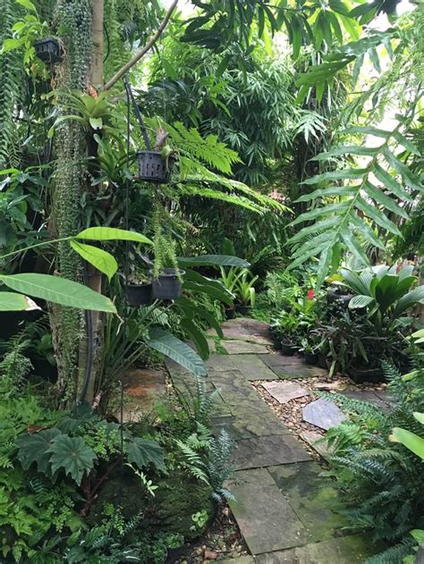 Pin By Kitsada Thammarom On ไอเดียจัดสวน Dream Garden Backyards Tropical Backyard Landscaping