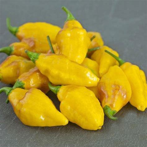 Habanero Mayan Yellow Pepper Seeds Pepper Joes