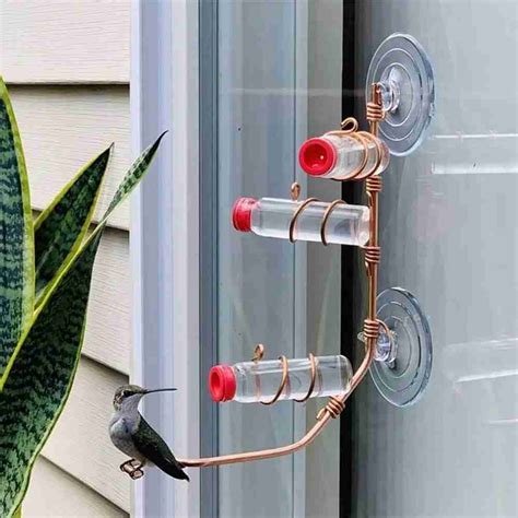 Creative Glass Suction Cup Hummingbird Feeder Set