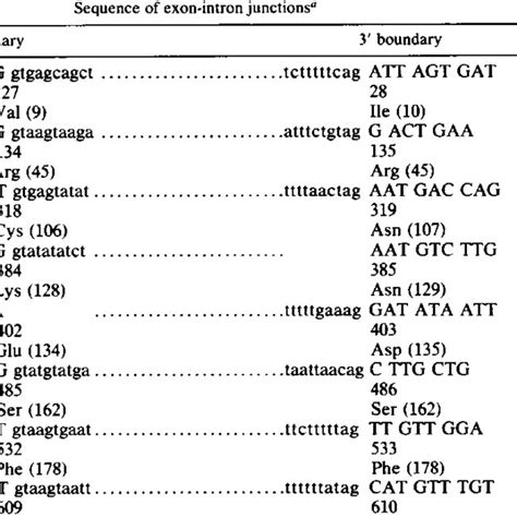 Exon Intron Organization Of The Human Hprt Gene Download Table