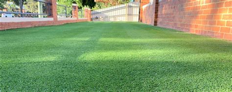 Best Variety Of Lawn For Dubbo And The Orana Region — Western Plains Turf