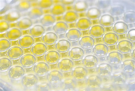 Peptide Elisa