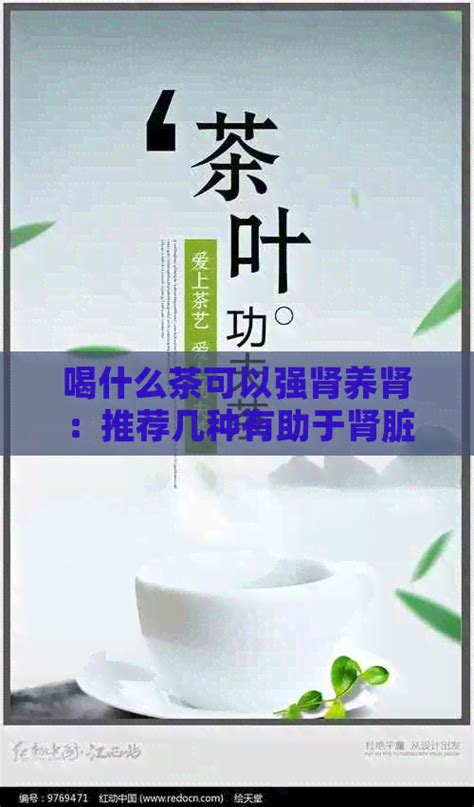 强肾喝什么茶 陈年普洱茶专题