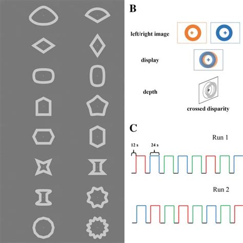 Schematic Illustration Of The Stimuli Viewing Task Li Et Al 2017 A