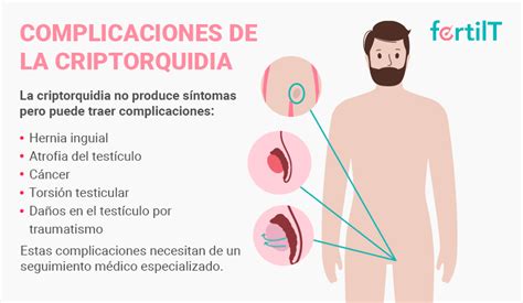 Criptorquidia Testículo No Descendido Todo Lo Que Debes Saber