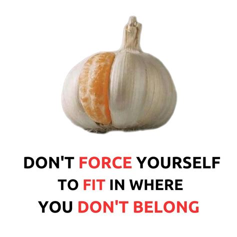 Work School Corporate Softwareengineering Brij Kishore Pandey