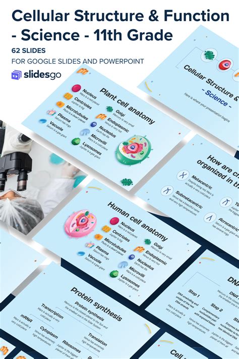 Cellular Structure And Function Science 11th Grade Lessons