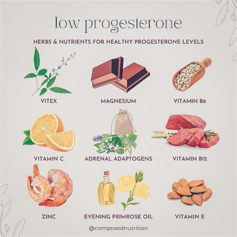 Ways To Increase Progesterone Levels Artofit