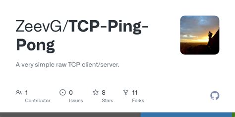 Github Zeevgtcp Ping Pong A Very Simple Raw Tcp Clientserver
