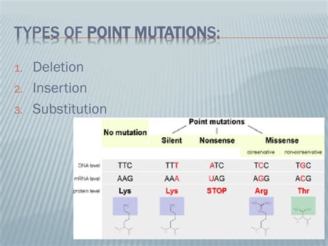 Ppt Mutations Powerpoint Presentation Free Download Id2769253