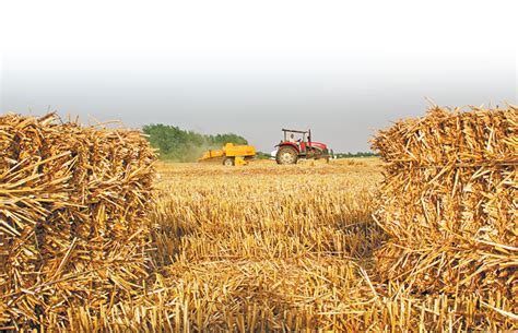 秸秆利用越来越融入经济生活的链条之中 河南要闻 河南省人民政府门户网站