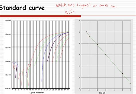 Nucleic Acid Amplification Techniques Flashcards Quizlet