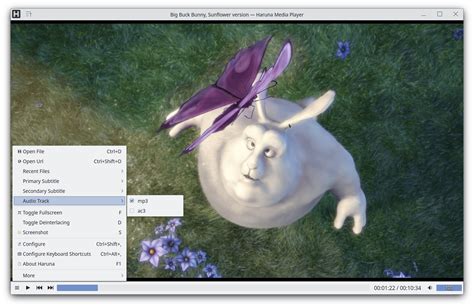KDE Video App Haruna Adds Some Neat New Features OMG Linux