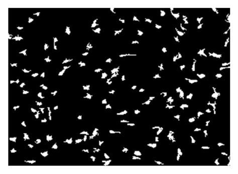 Identification Of Fibroblast Regions Result Of Color Segmentation