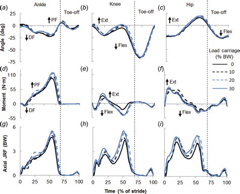 Joint Kinematics And Kinetics For Different Loads During One Gait