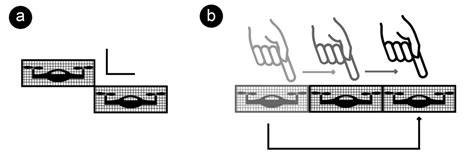 Affordances Of Multiple Quads For Haptics In Vr A Complex Geometry Download Scientific