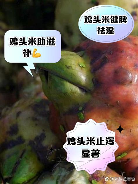 新鲜鸡头米的功效与作用