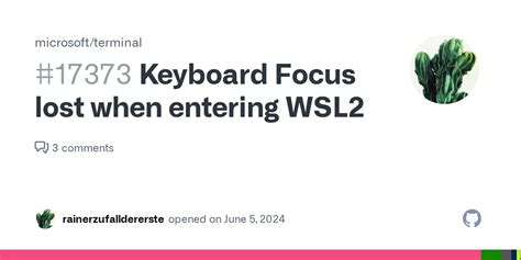 Keyboard Focus Lost When Entering Wsl2 · Issue 17373 · Microsoft