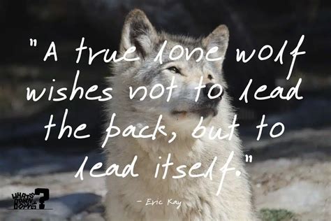 100 Epic Lone Wolf Quotes Whats Danny Doing